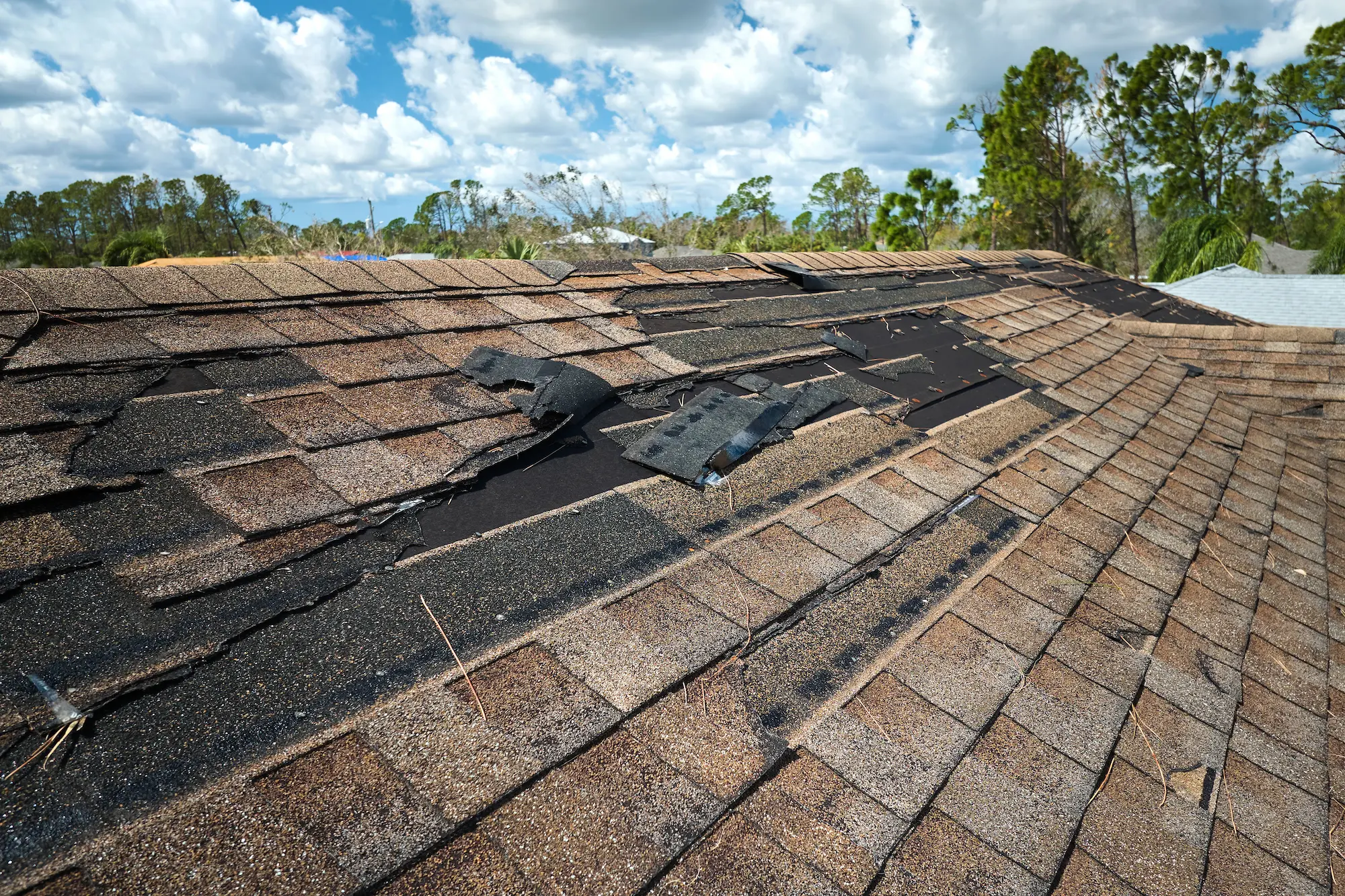 Understanding the Anatomy of a Roof | American Eagle Roofing
